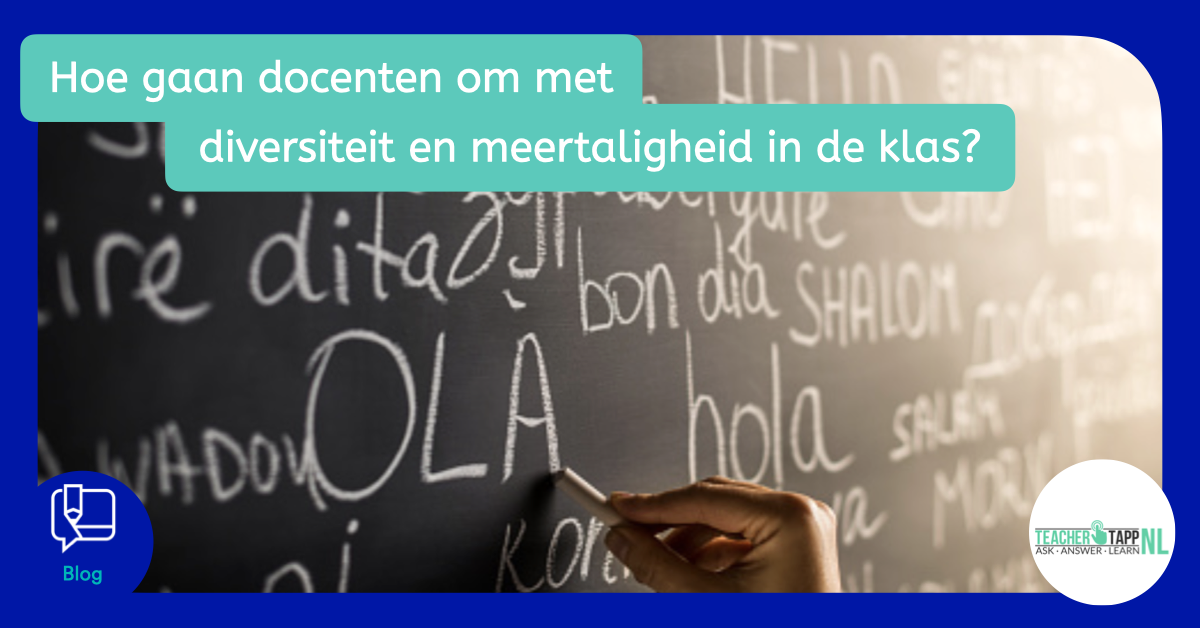 Hoe gaan docenten om met diversiteit en meertaligheid in de klas ...